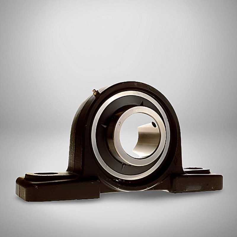 UCP305 RICH Cast Iron Bearing Unit - 25mm Bore