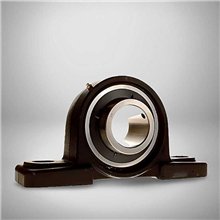 UCP308 RICH Cast Iron Bearing Unit - 40mm Bore
